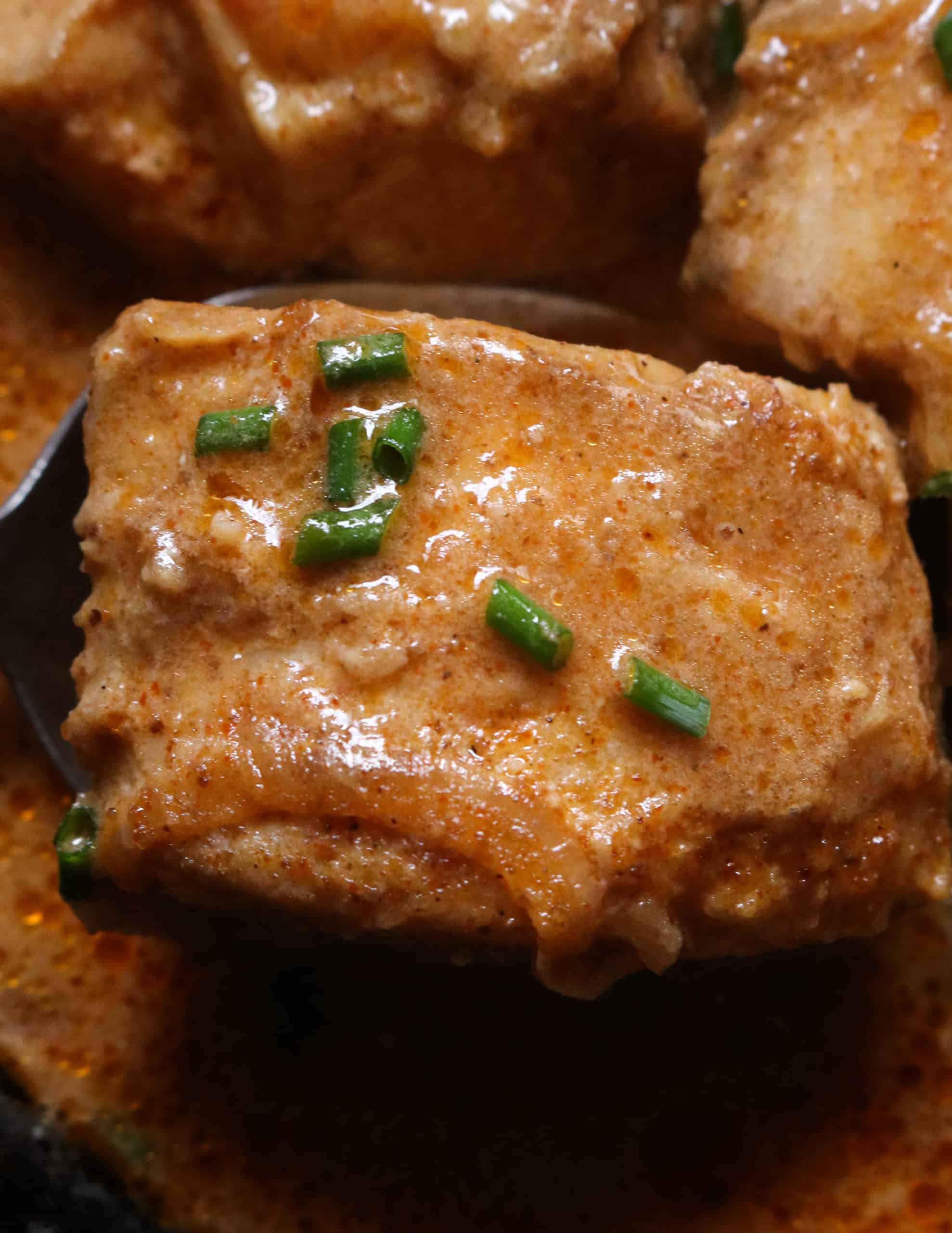 Indian fish curry with coconut milk. - THE SEAFOOD BLOG