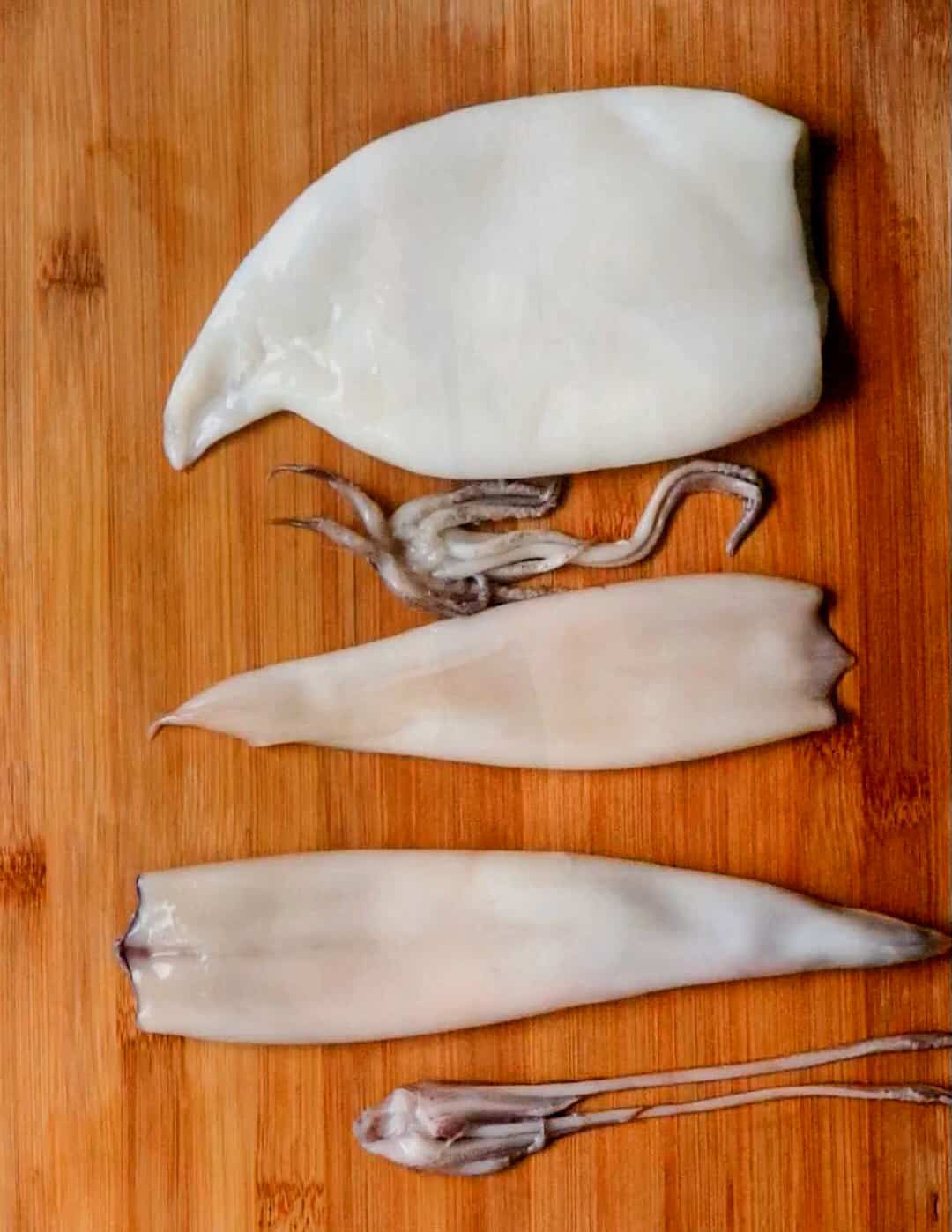 How to clean squid(calamari). - THE SEAFOOD BLOG