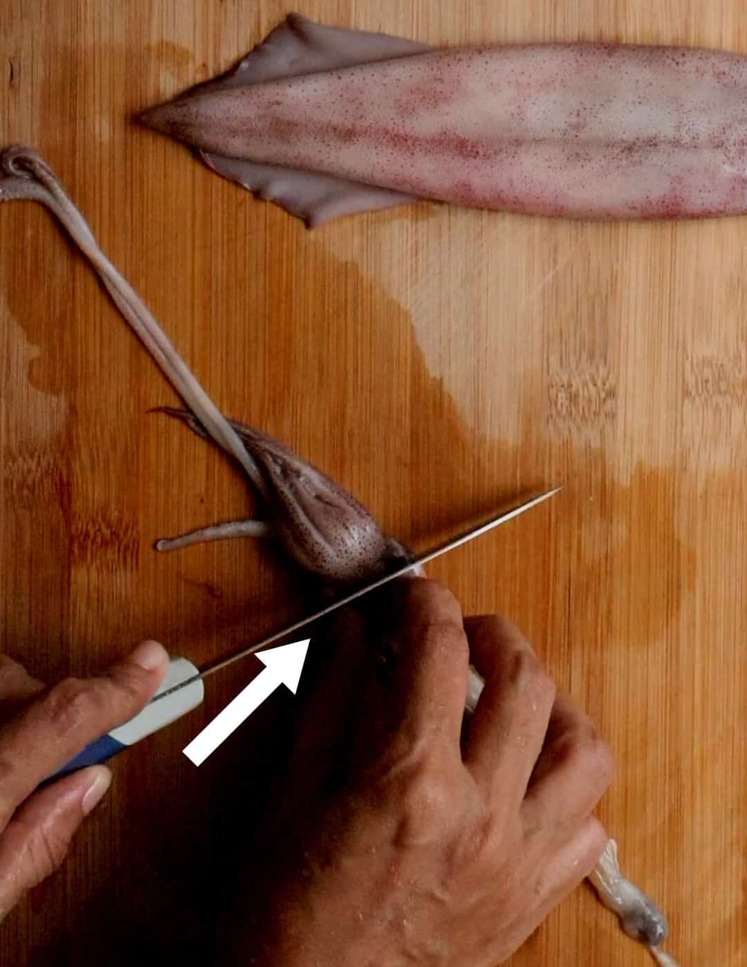 How to clean squid(calamari). - THE SEAFOOD BLOG