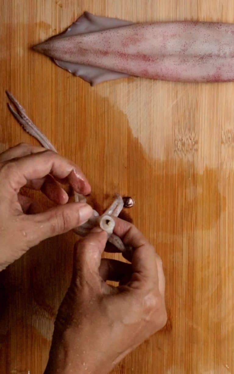How to clean squid(calamari). - THE SEAFOOD BLOG