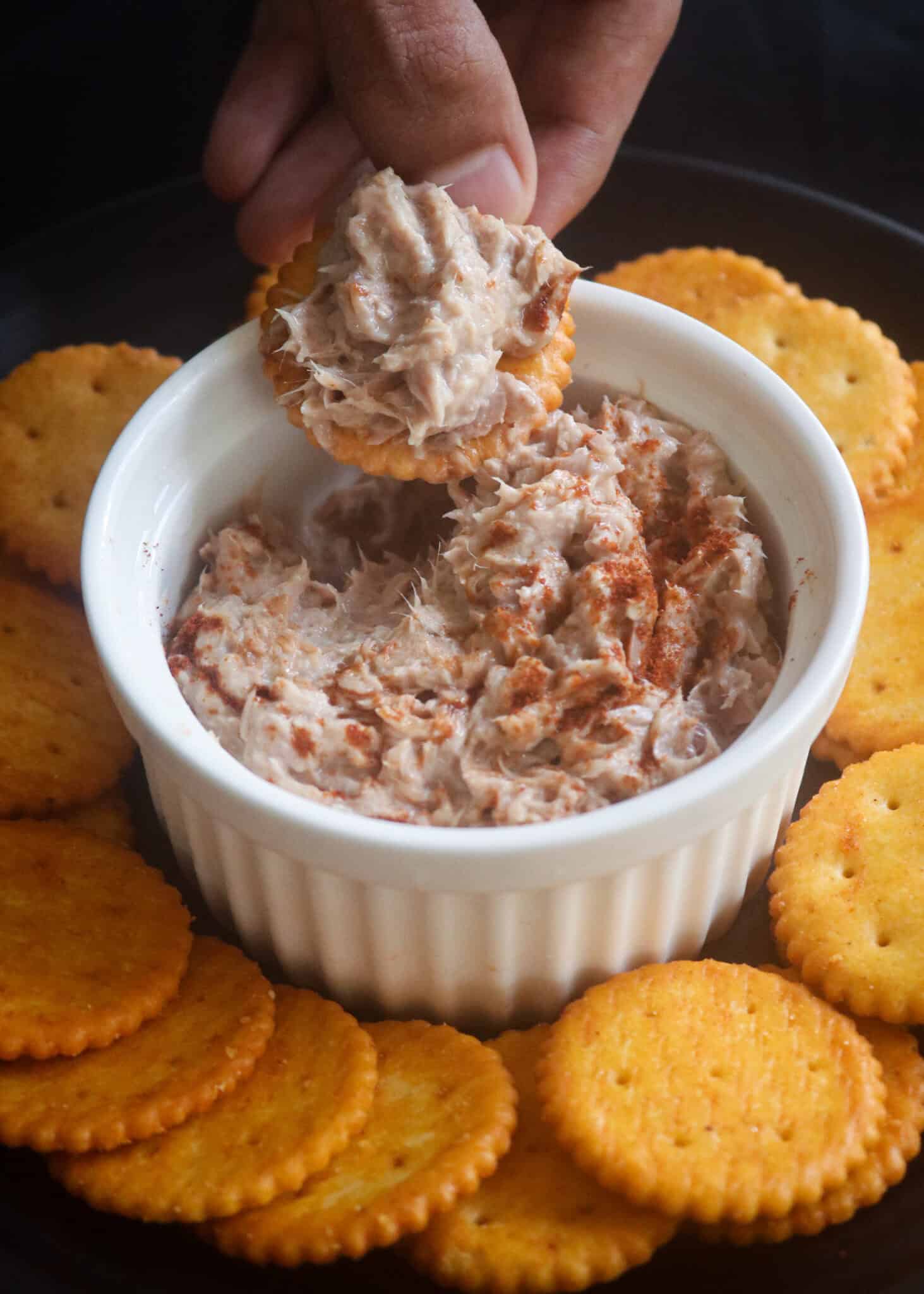 5 minute tuna dip recipe(high protein). - THE SEAFOOD BLOG